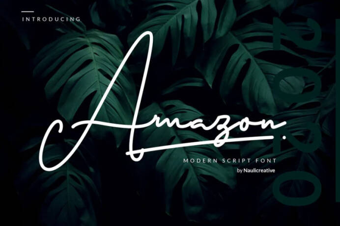 Amazon Font Download - FontsPad.com