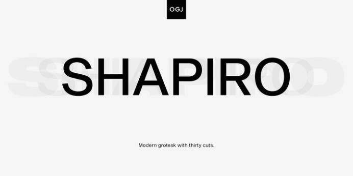 Shapiro Pro Font Download - FontsPad.com