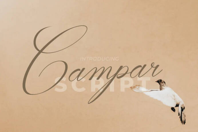 Campar Font Download - FontsPad.com
